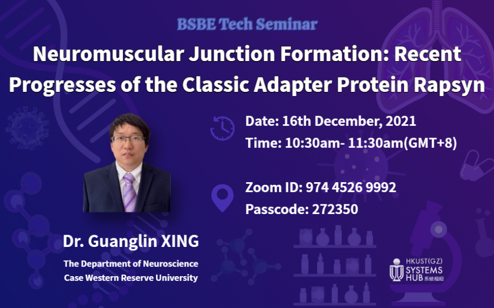 Neuromuscular Junction Formation: Recent Progresses of the Classic ...