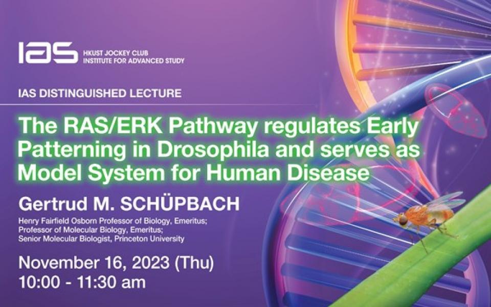 IAS Distinguished Lecture - The RAS/ERK Pathway regulates Early ...