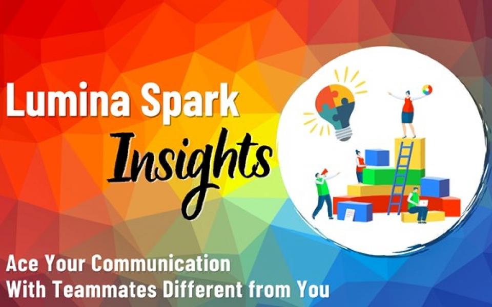 Lumina Spark Insights: Ace your Communication with Teammates Different ...