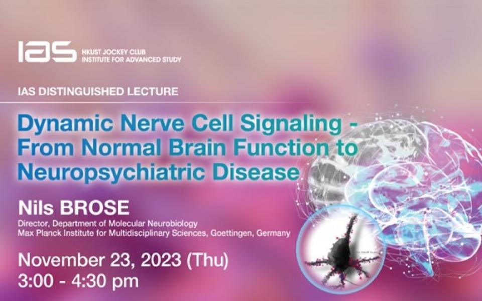IAS Distinguished Lecture - Dynamic Nerve Cell Signaling - From Normal ...