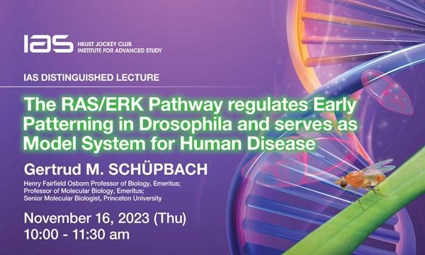 IAS Distinguished Lecture - The RAS/ERK Pathway regulates Early ...